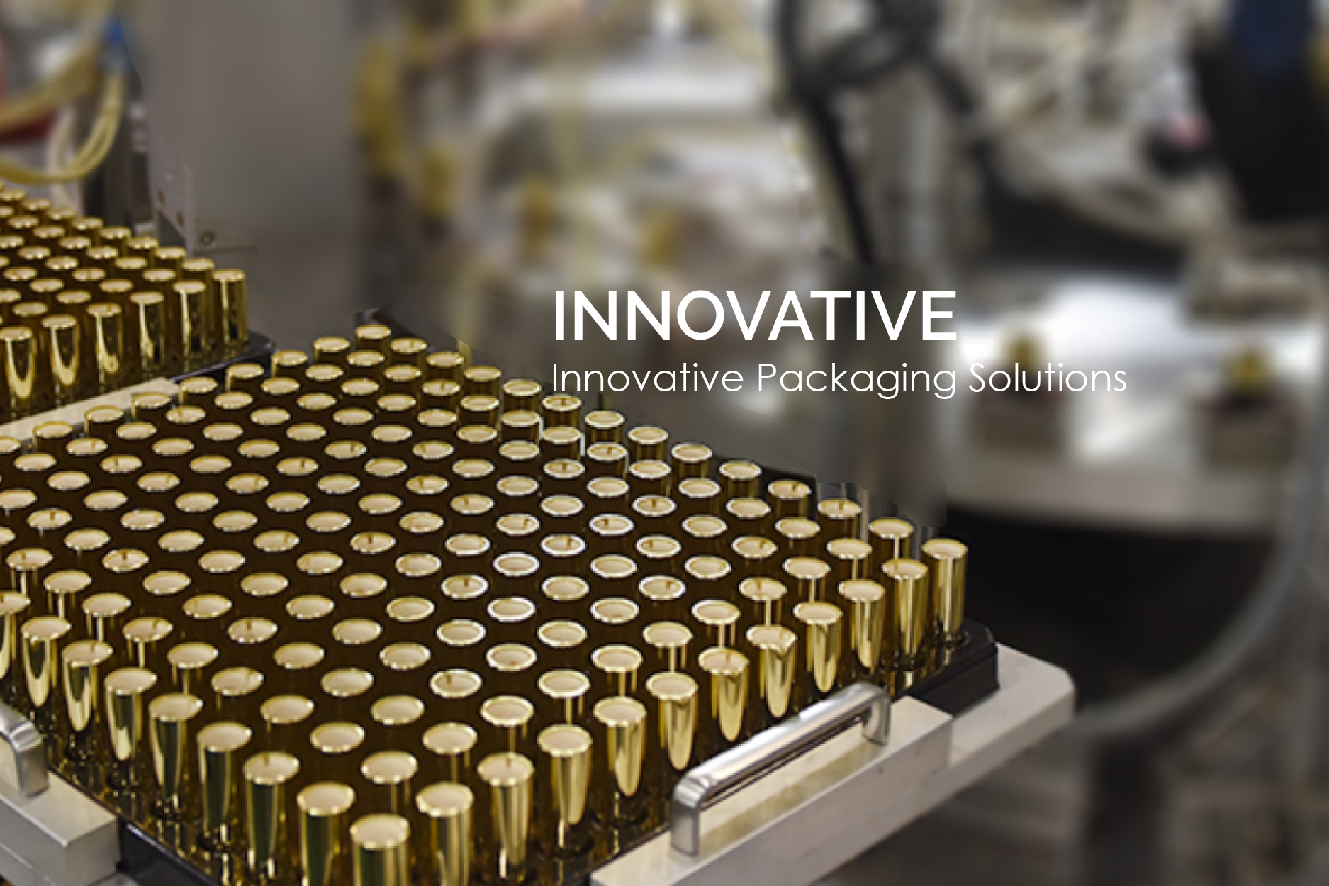 Libo Cosmetics Co., Ltd